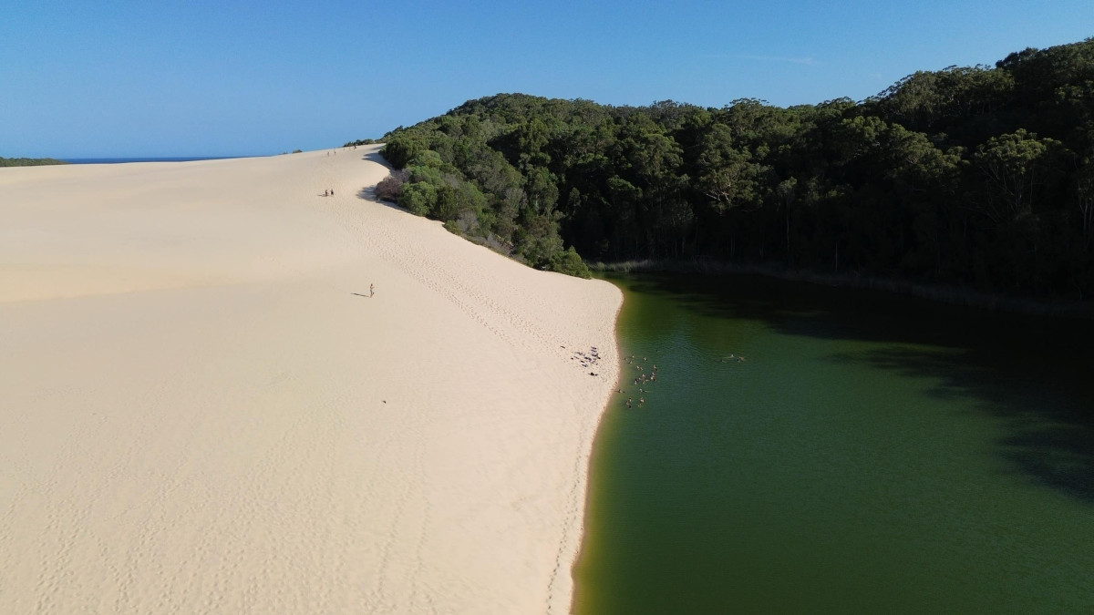 Highlights of the East Coast: Kgari (Fraser) Island - Dundee Adventure ...